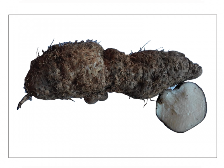 Kukulala 1kg - Ceylone.lk